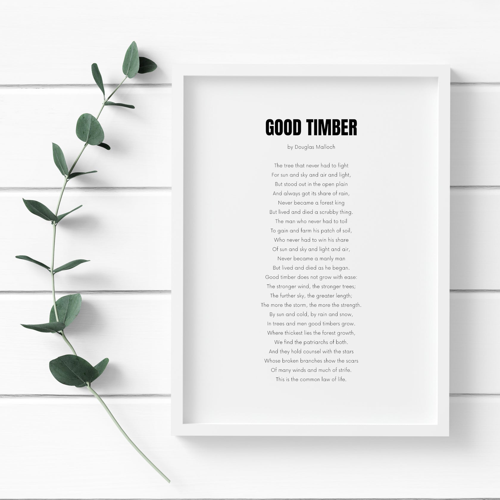 Good Timber (Douglas Malloch Poem) Print – Embracing Rainbows